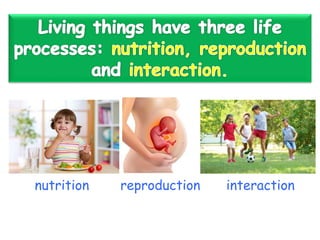 Life processes | PPT