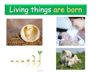 Life processes | PPT | Food Movements | Food & Drink