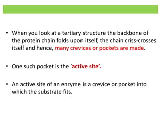 Living state and enzyme introduction | PPT