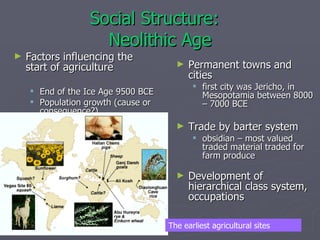 Living stone age | PPT