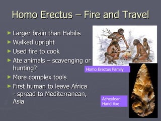 Living stone age | PPT | Geology | Science