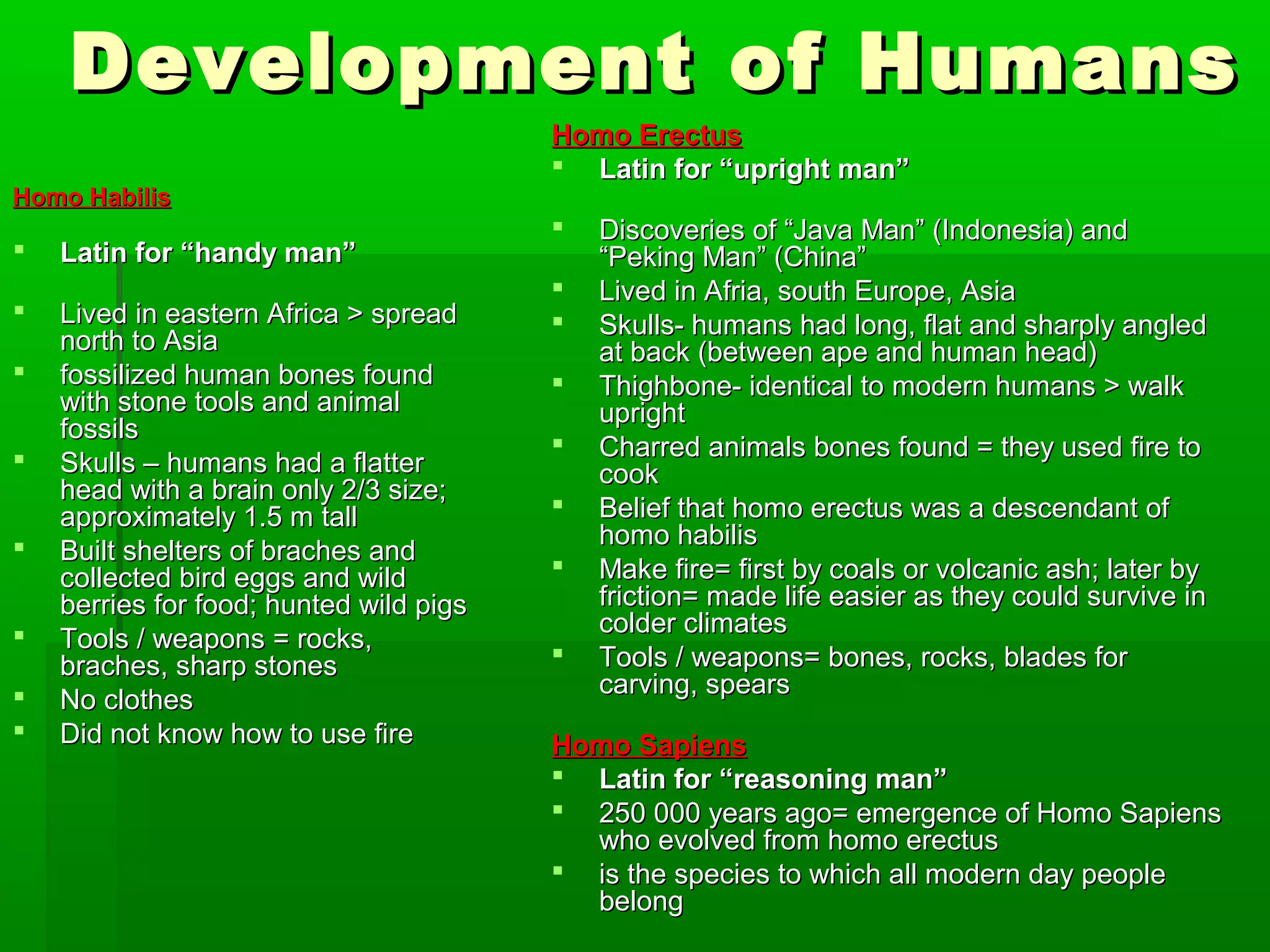 Living stone age | PPT