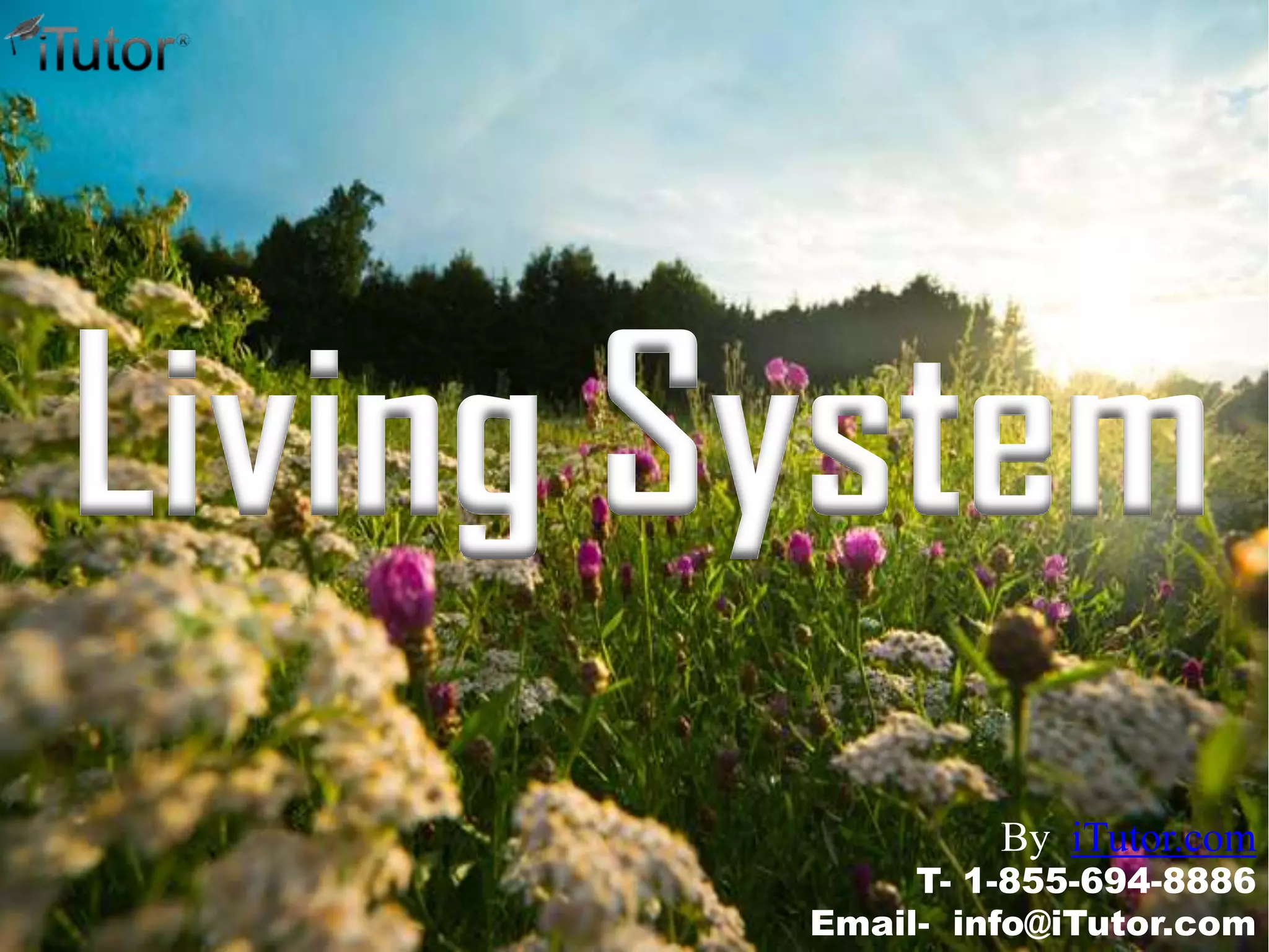 Living System | PPTX