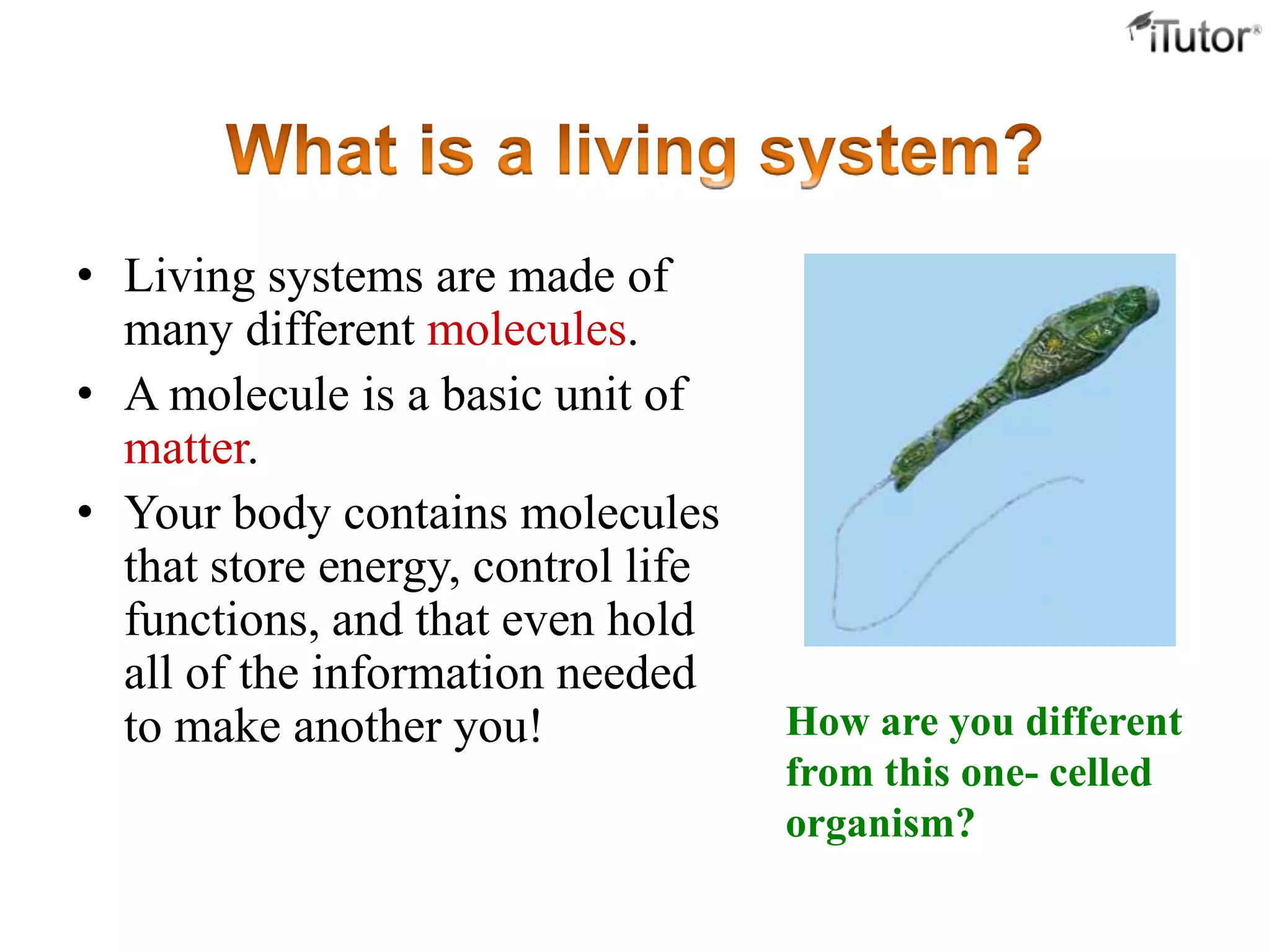 Living System | PPTX