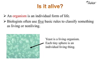 Living System | PPTX