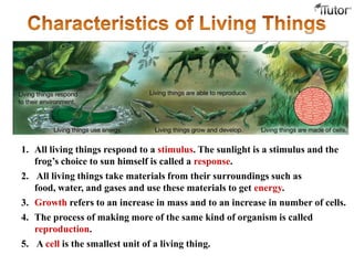 Living System | PPTX