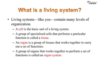 Living System | PPTX