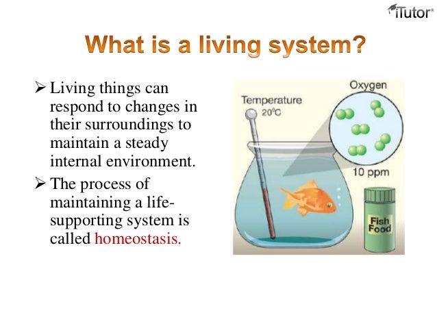 Living System