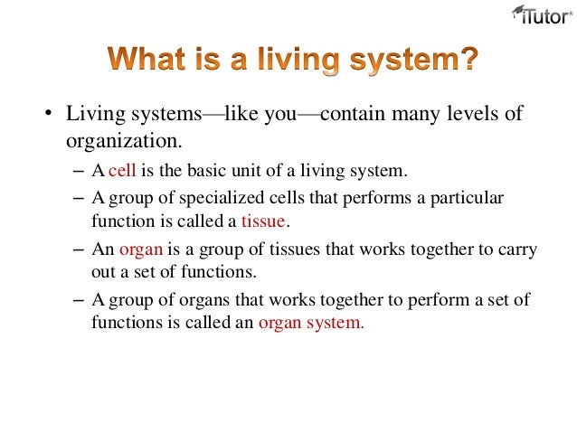 Living System