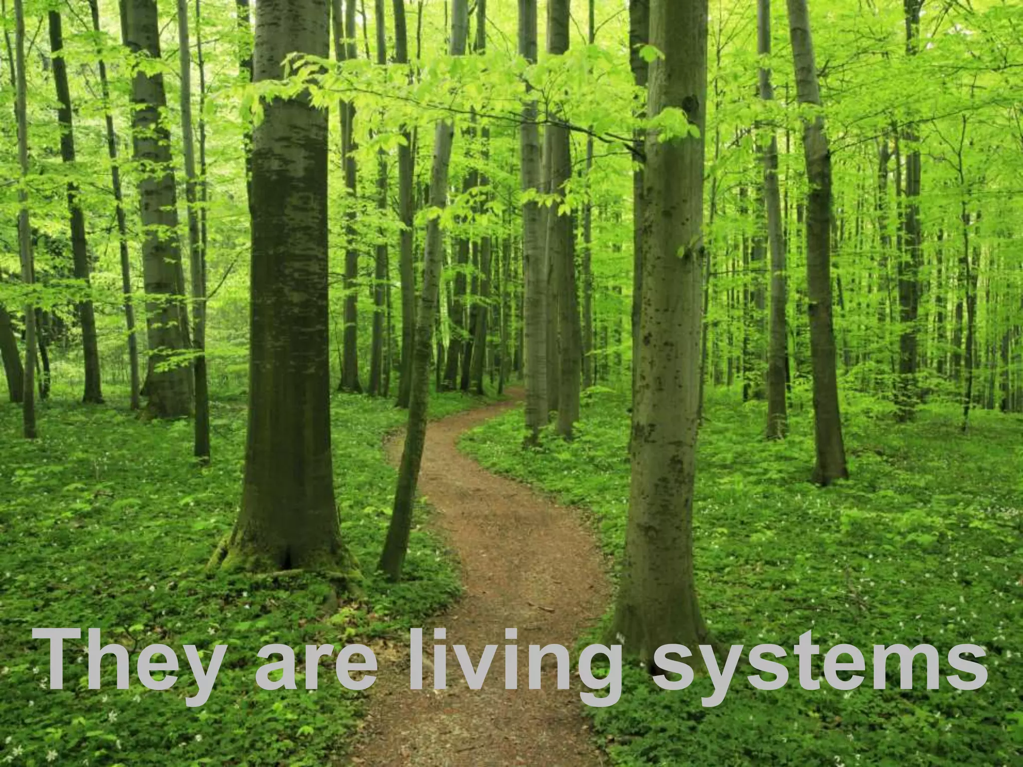 Living systems mapping | PPTX