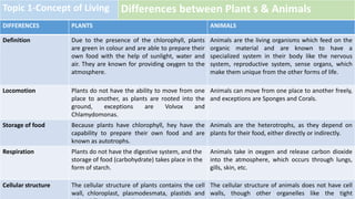 Classification of Living and Non Living things/Plants & Animals | PPTX