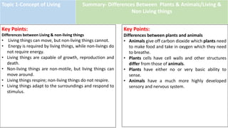 Classification of Living & Non Living Things | PPTX | Biological ...