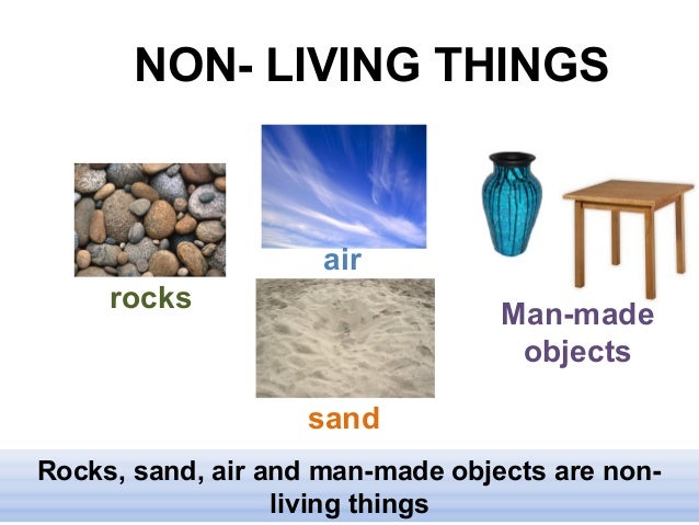 Living thing non living thins.unit 6, 1º science