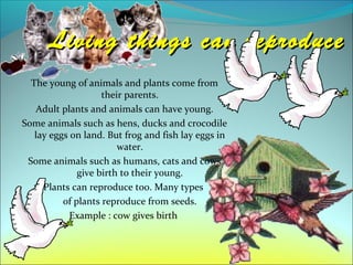 Livingthings 090527101605-phpapp02 | PPS | Biological Sciences | Science