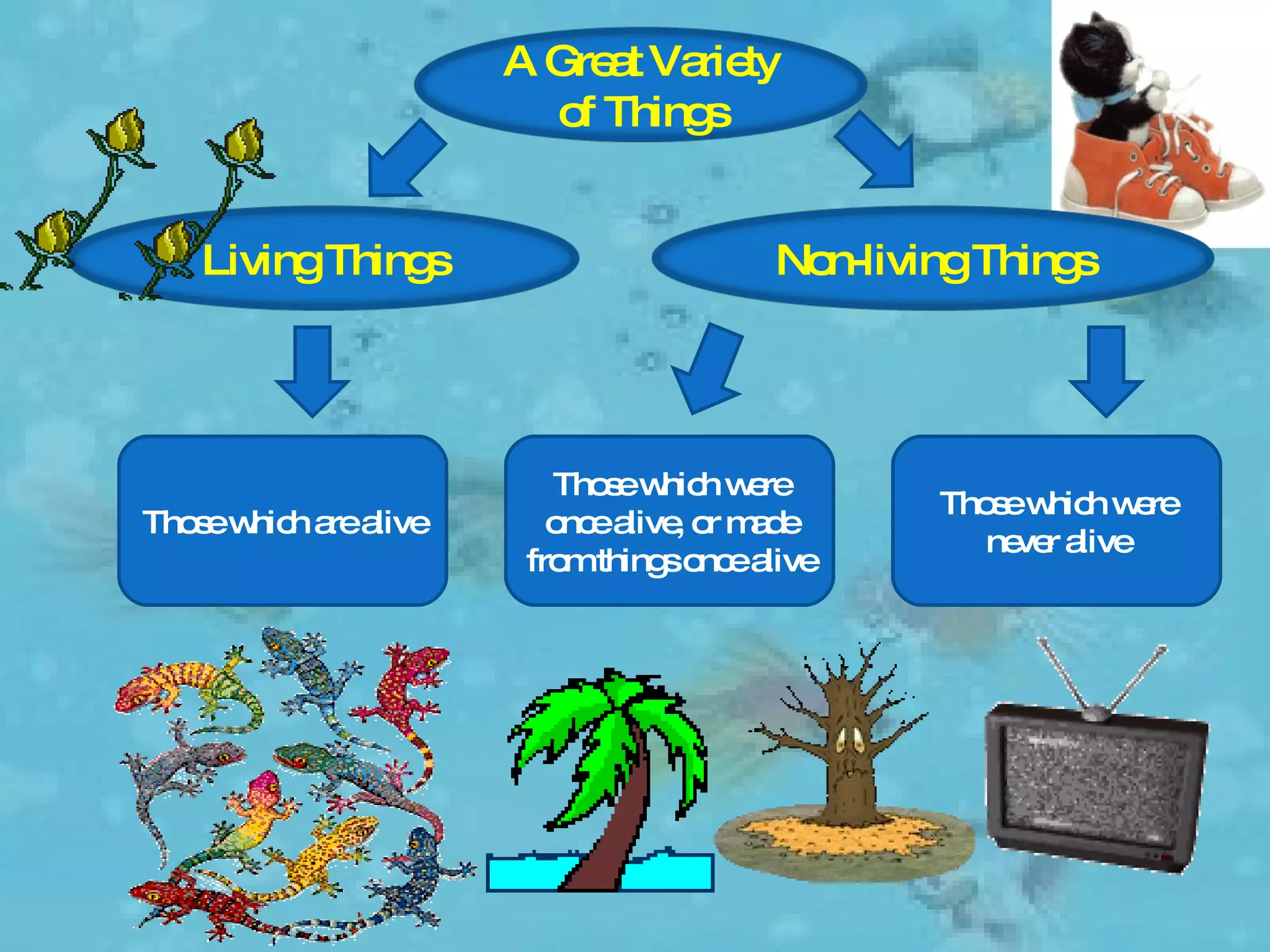 Living and Non Living Things | PPS