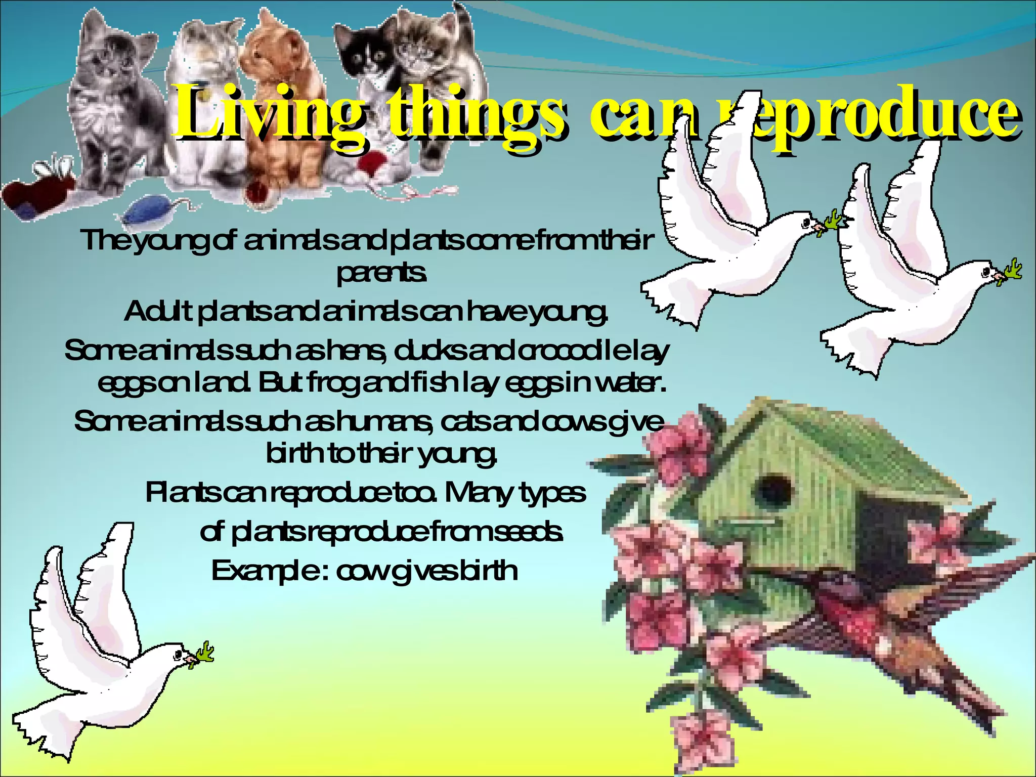 Living and Non Living Things | PPS