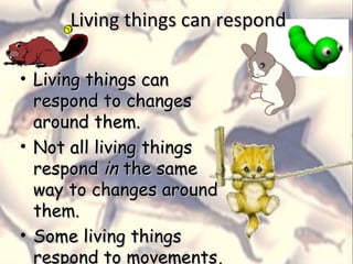 Living and Non Living Things | PPS