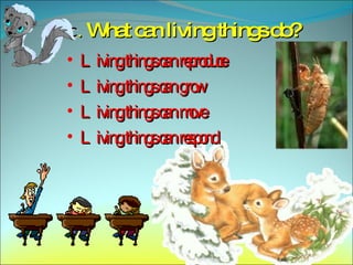 Living and Non Living Things | PPS