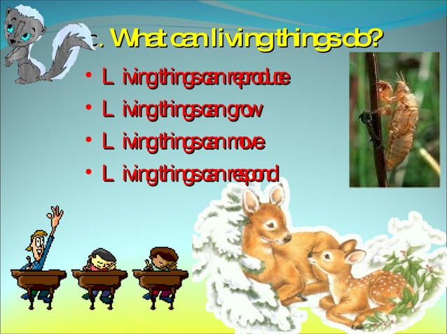 Living and Non Living Things | PPT