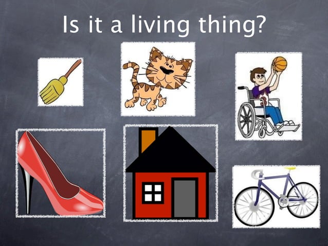 Living things key | KEY