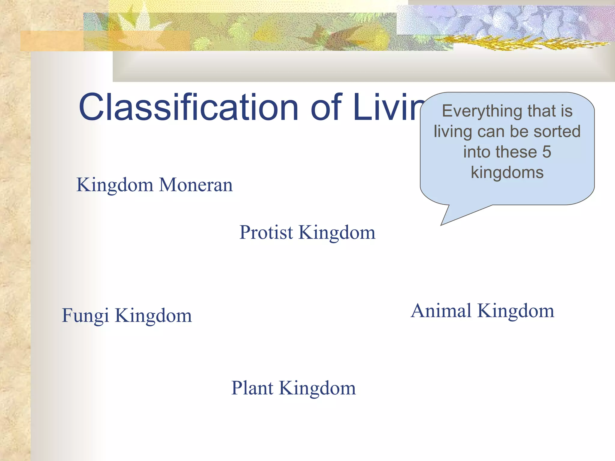 Living things | PPT