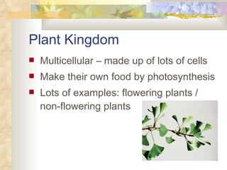 Living things | PPT
