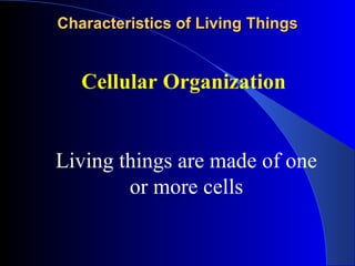 Living Things | PPT