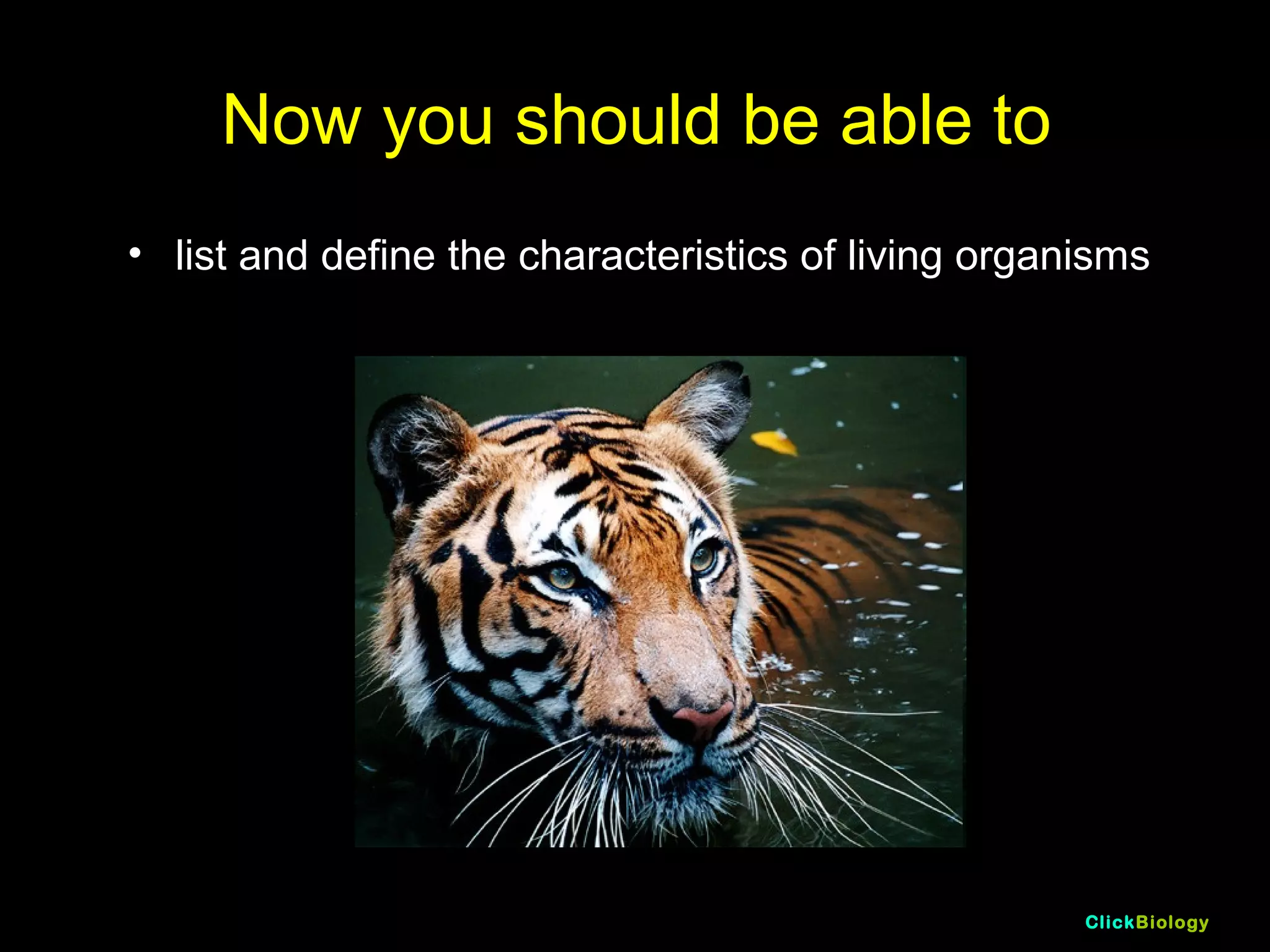 Characteristics of Living Things | PPT