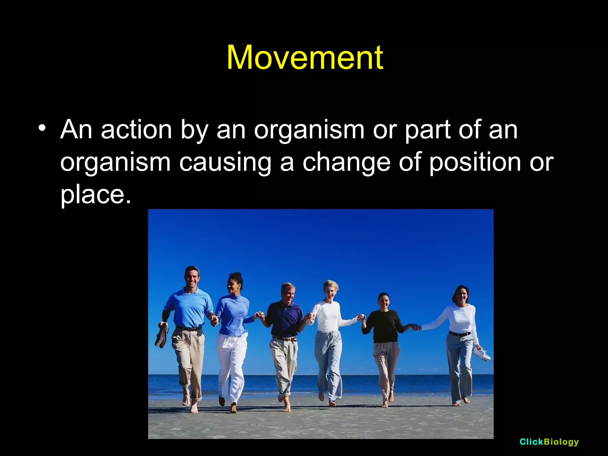 Characteristics of Living Things | PPT