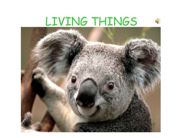 Living things