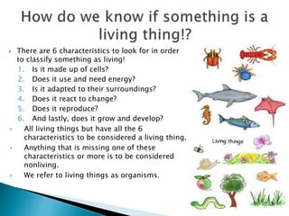 Living things! | PPTX