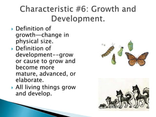 Living things! | PPTX