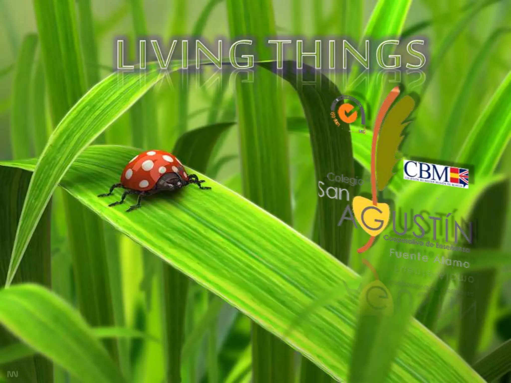 UNIT 3. NATURAL SCIENCE: LIVING THINGS | PPTX