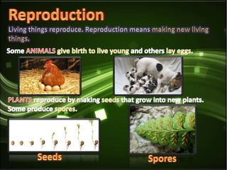 UNIT 3. NATURAL SCIENCE: LIVING THINGS | PPTX