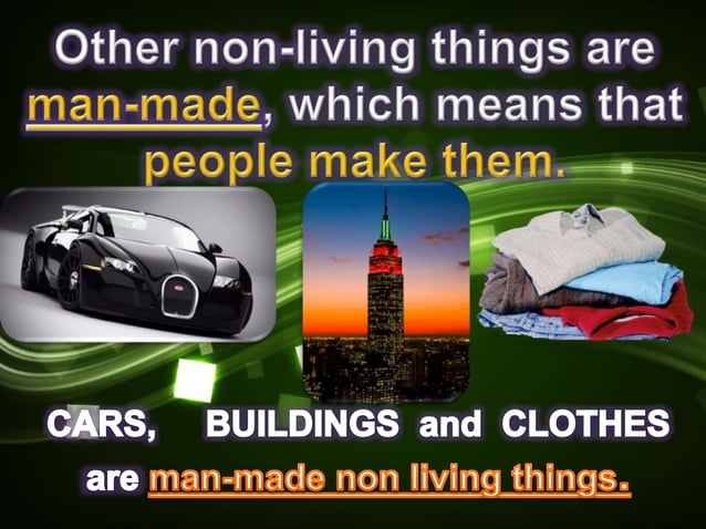 UNIT 3. NATURAL SCIENCE: LIVING THINGS | PPTX