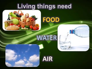 UNIT 3. NATURAL SCIENCE: LIVING THINGS | PPTX