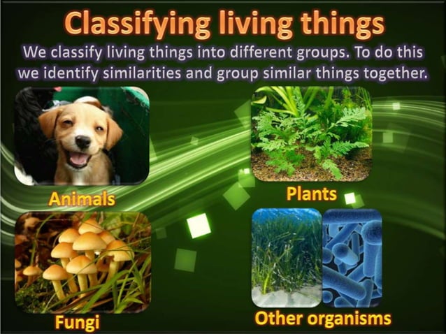 UNIT 3. NATURAL SCIENCE: LIVING THINGS | PPTX