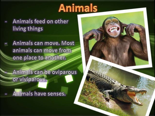 UNIT 3. NATURAL SCIENCE: LIVING THINGS | PPTX