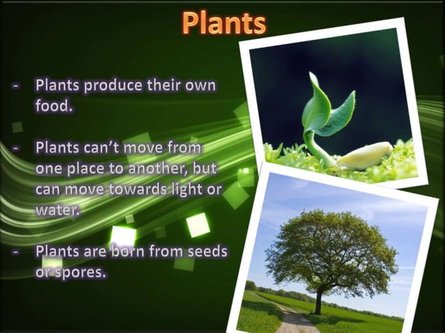 UNIT 3. NATURAL SCIENCE: LIVING THINGS | PPTX