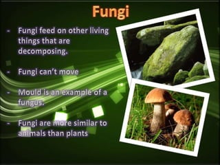UNIT 3. NATURAL SCIENCE: LIVING THINGS | PPTX