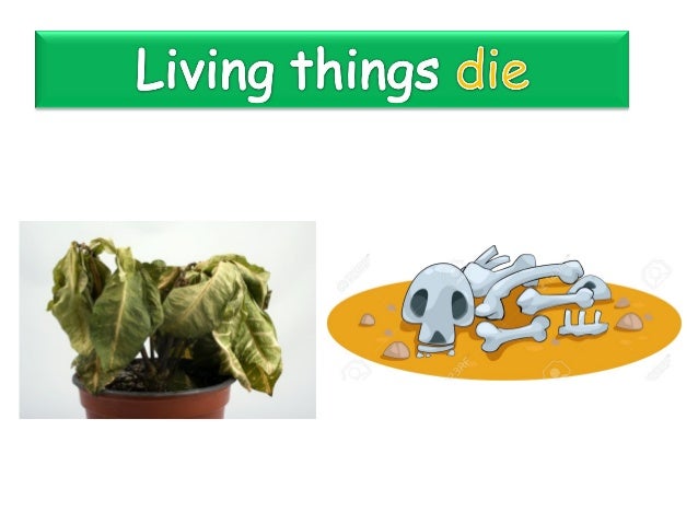 Living things