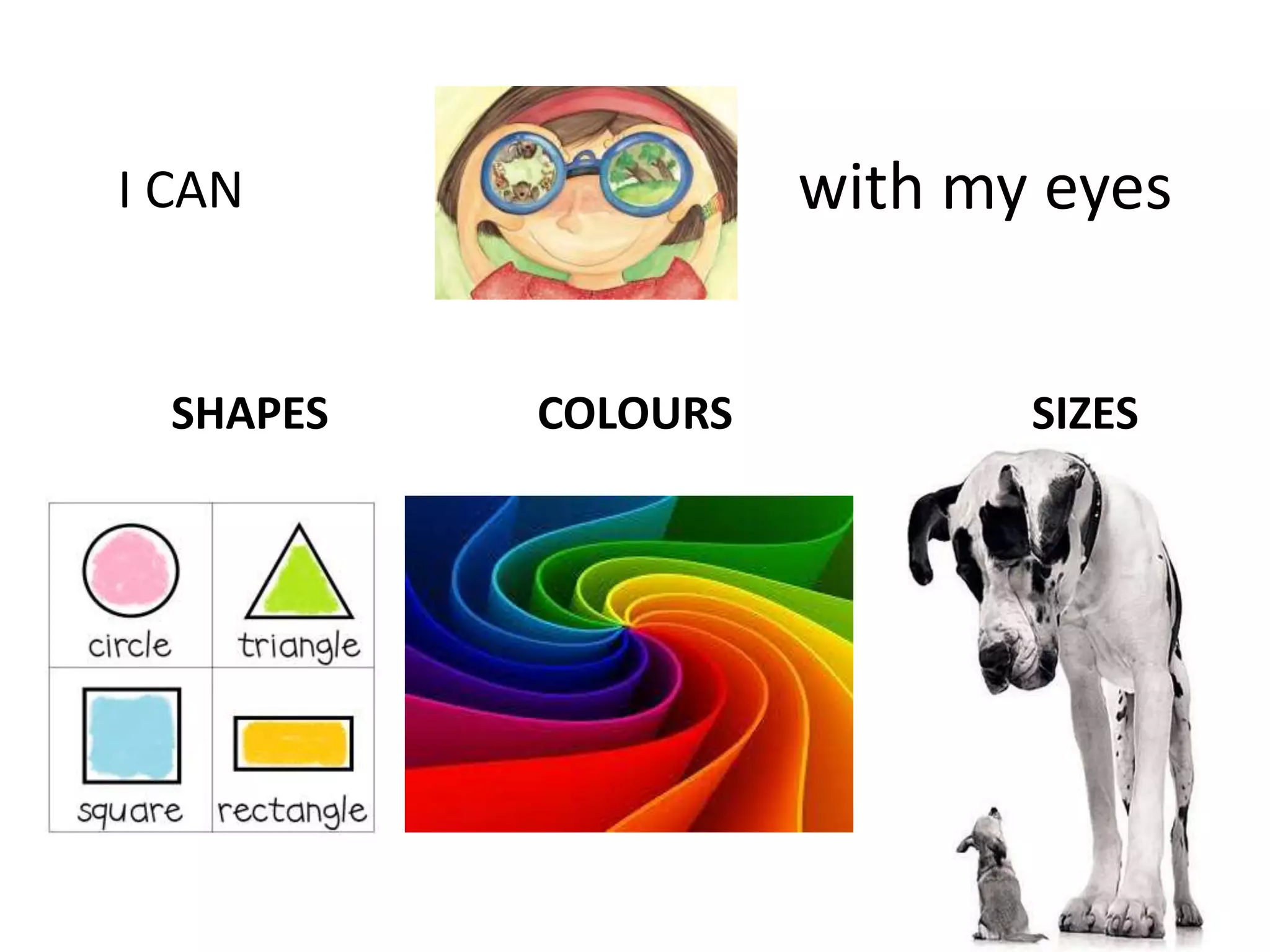 Living things.senses | PPTX