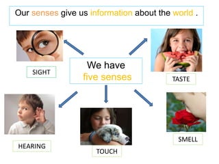 Living things.senses | PPTX