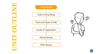 SCIENCE 6TH Living things | PPTX