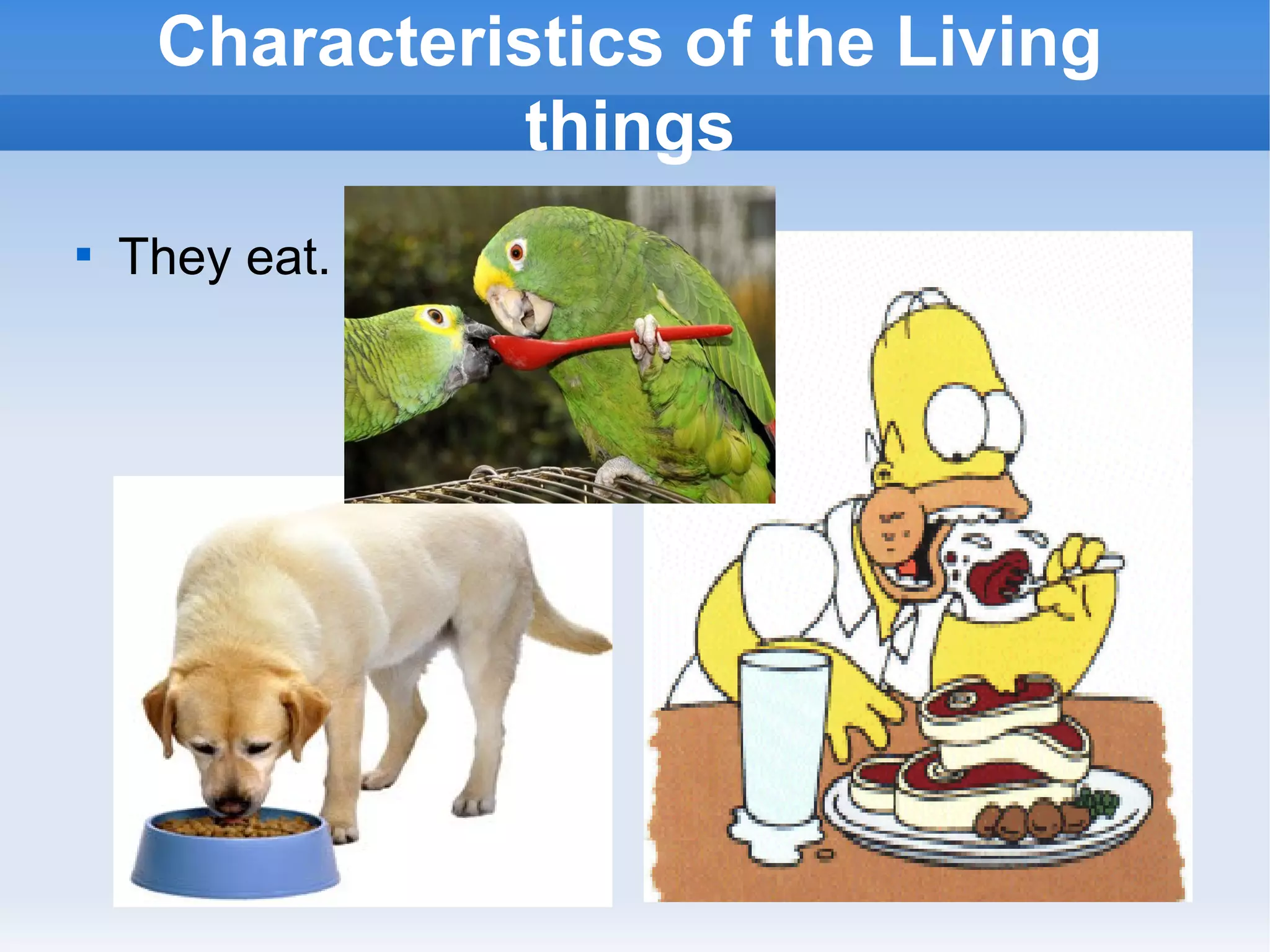 Living things | PPT