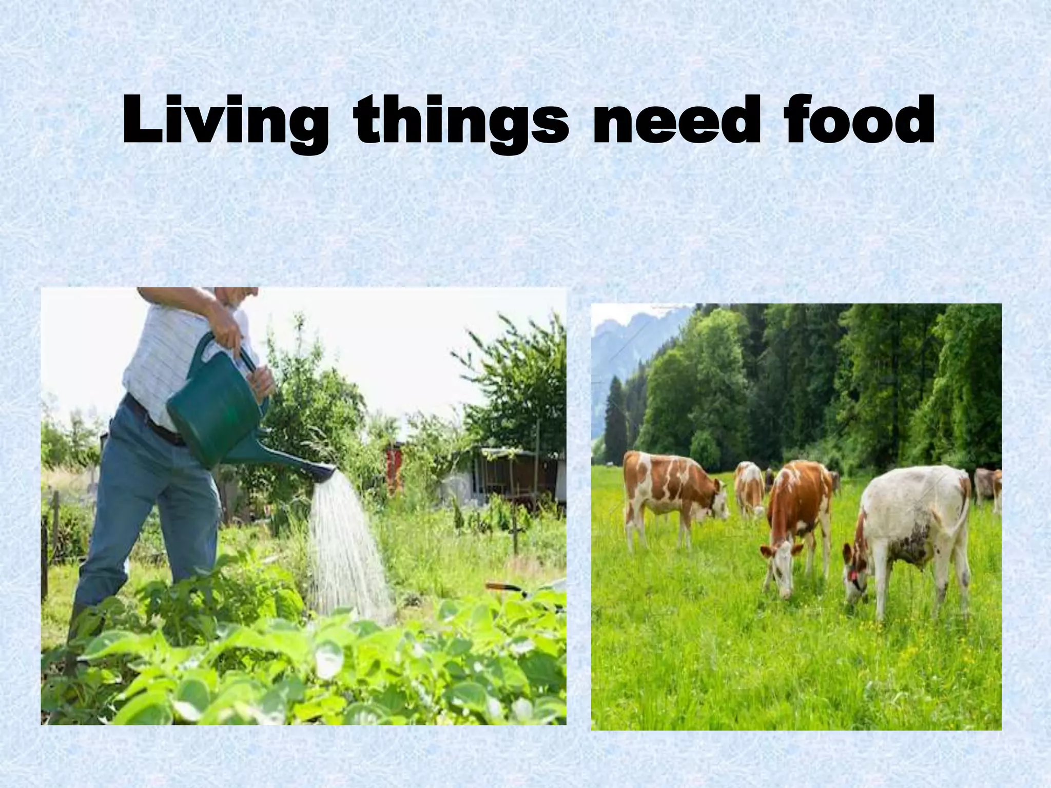 Living things | PPT