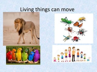 Living things | PPT