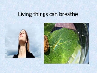 Living things | PPT