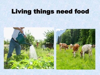 Living things | PPT