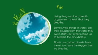 Living Things.pptx